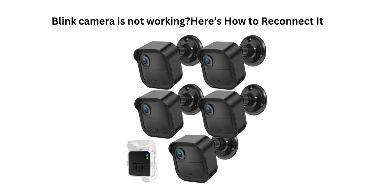 Blink Camera Not Working?Here’s How to Reconnect It